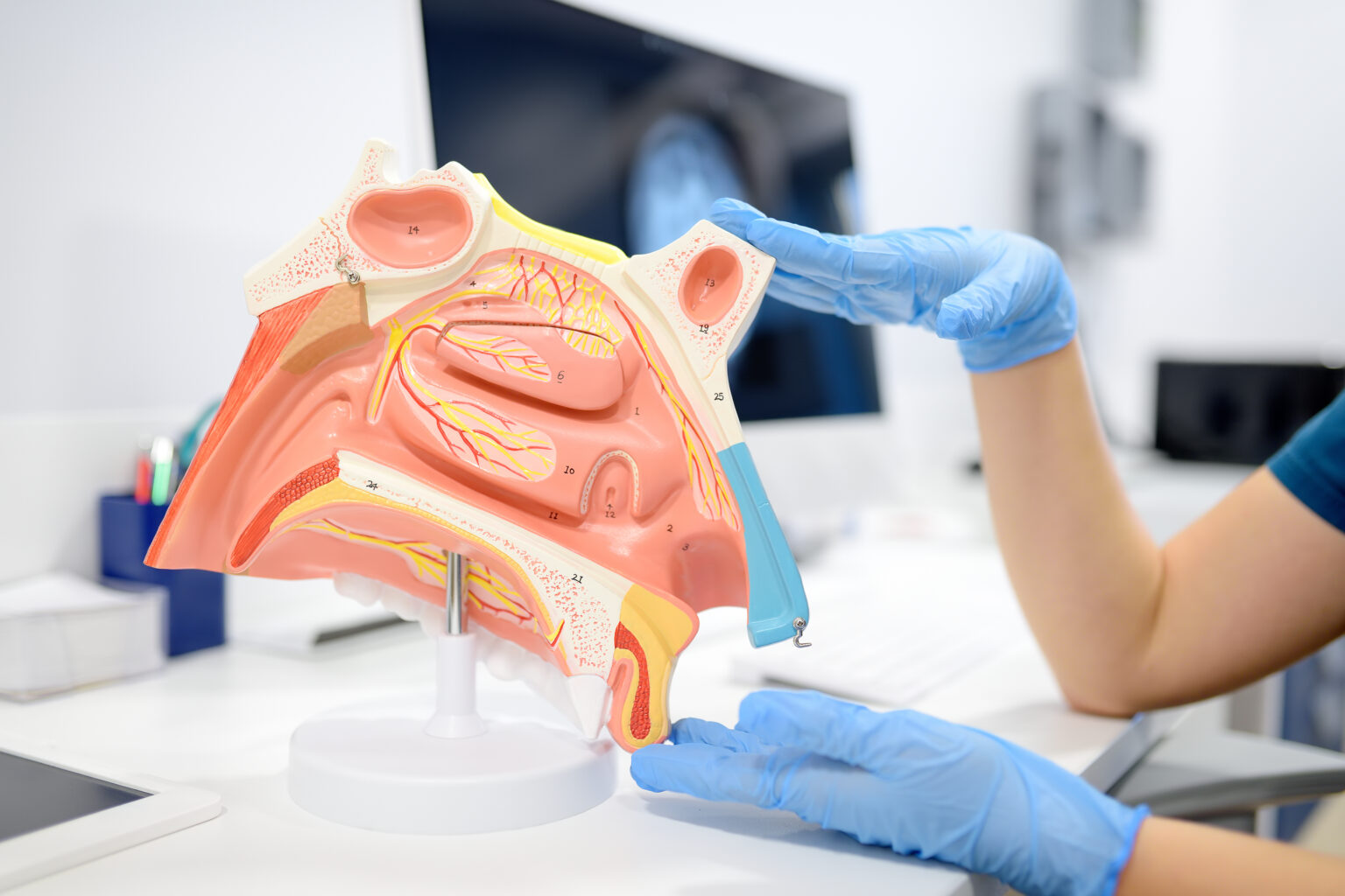 Nasal Obstruction - Glatz Group Sinus Relief Specialists